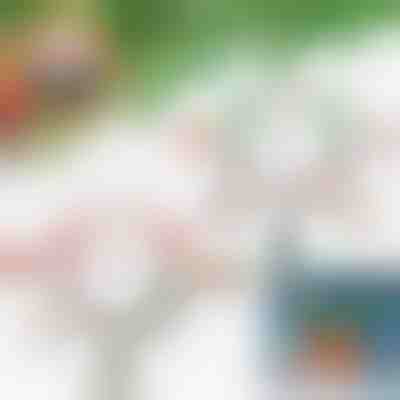 Superzebra.bg – Страница 35