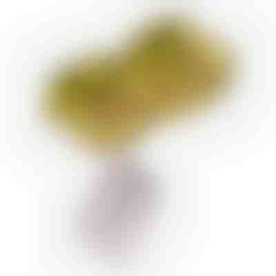 Superzebra.bg – Страница 9