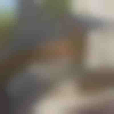 Superzebra.bg – Страница 21