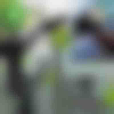 Superzebra.bg – Страница 3