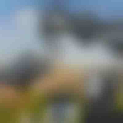 Superzebra.bg – Страница 4